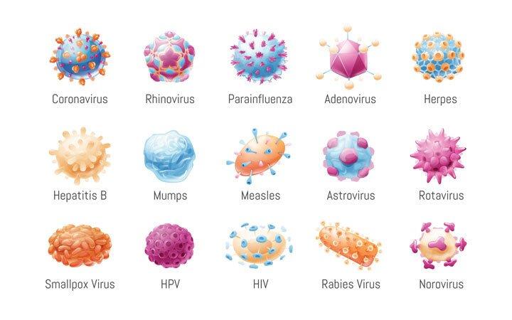 Rối loạn suy giảm miễn dịch ảnh hưởng đến sức khỏe như thế nào ...